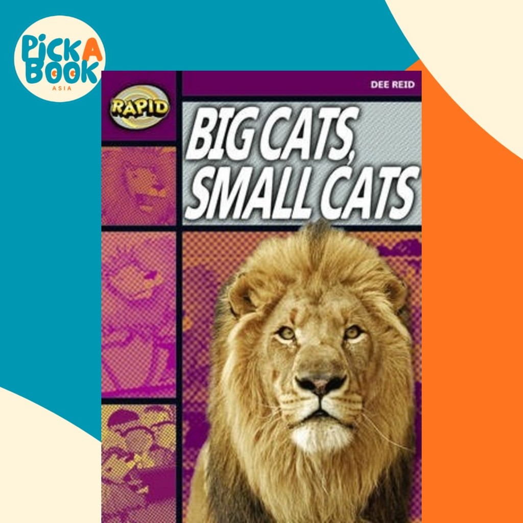 - Rapid Reading: Big Cats Small Cats (Stage 1, Level 1A) by Dee Reid ...