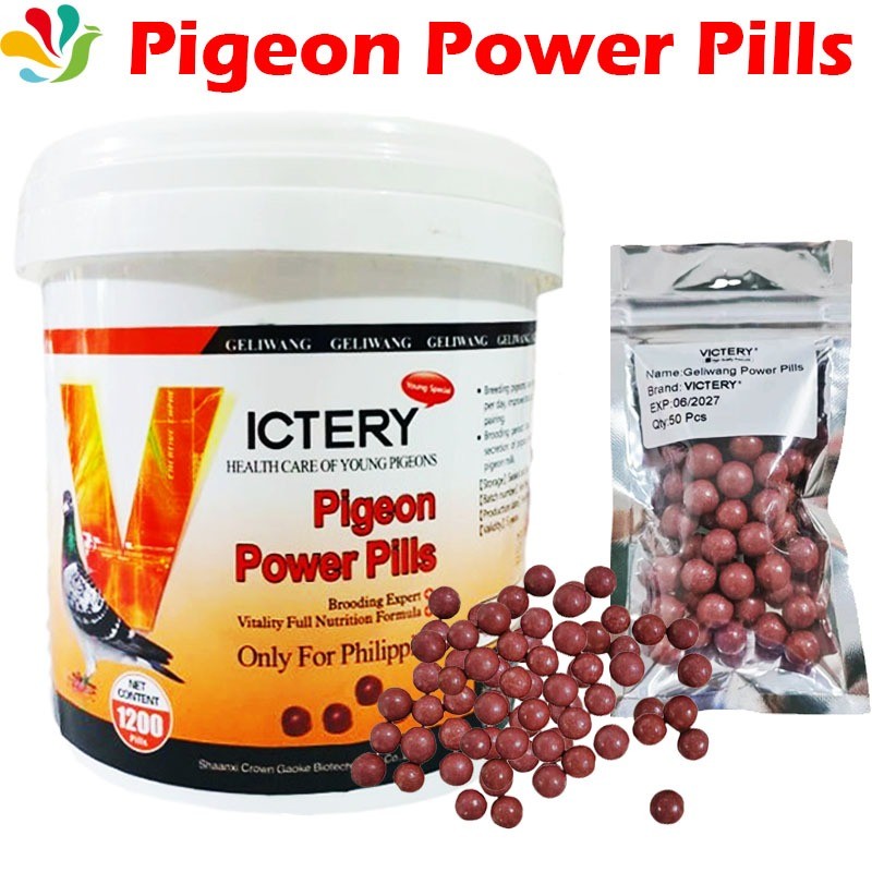 500Pcs Victery Geliwang Cannister Power Pills for racing pigeons ...