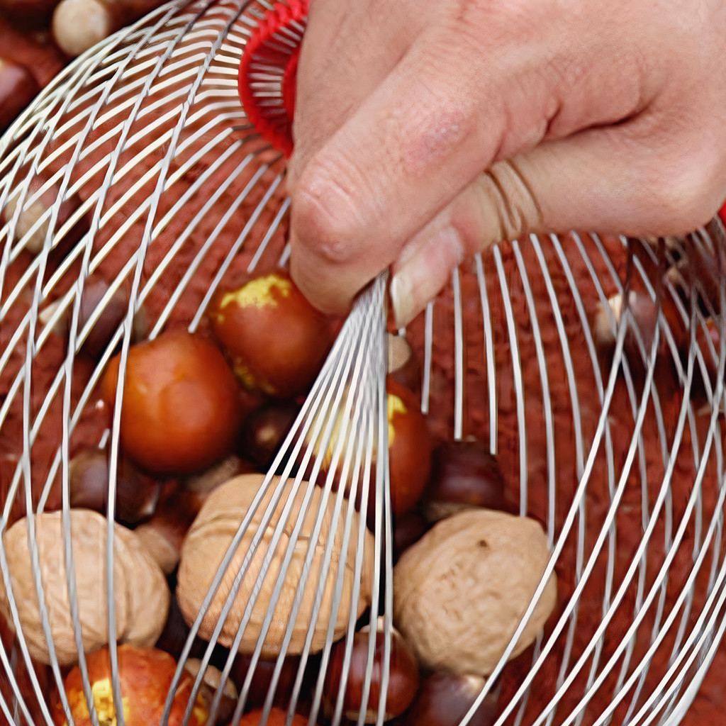 Rolling Nut Collector Picker Adjustable Acorn Picker Upper Roller ...