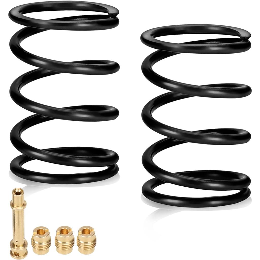 HIAORS Racing 18lb Valve Springs for Predator 212cc 196cc 224cc Non ...