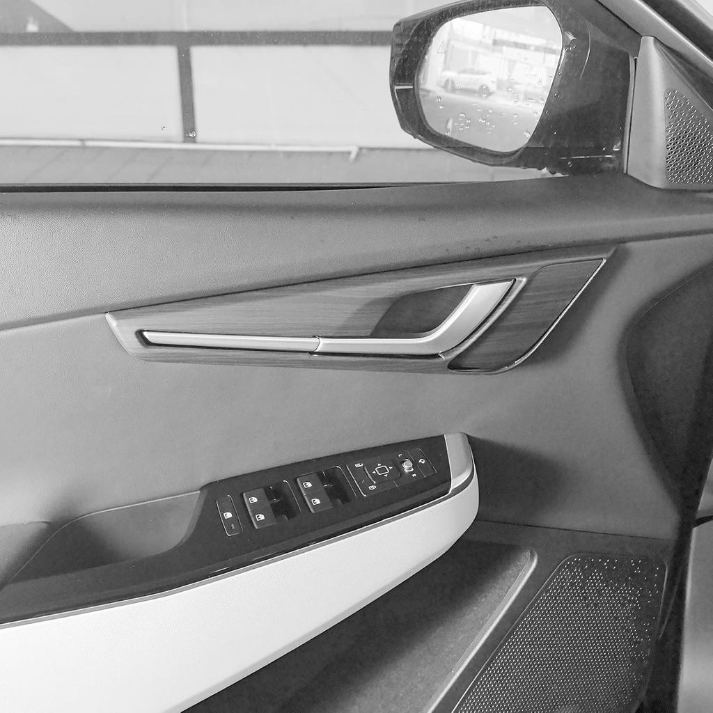 YOUTOOCAR Interior Door Panel Trim Covers Compatible with Kia EV6 2022 ...