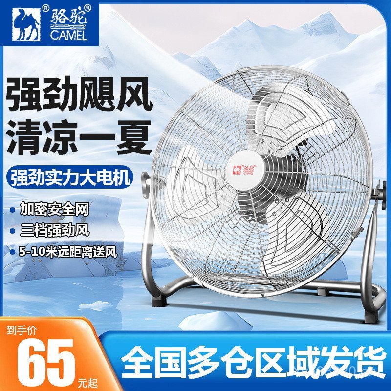 Electric Fan High Power Floor Standing Fan Powerful Camel Factory ...