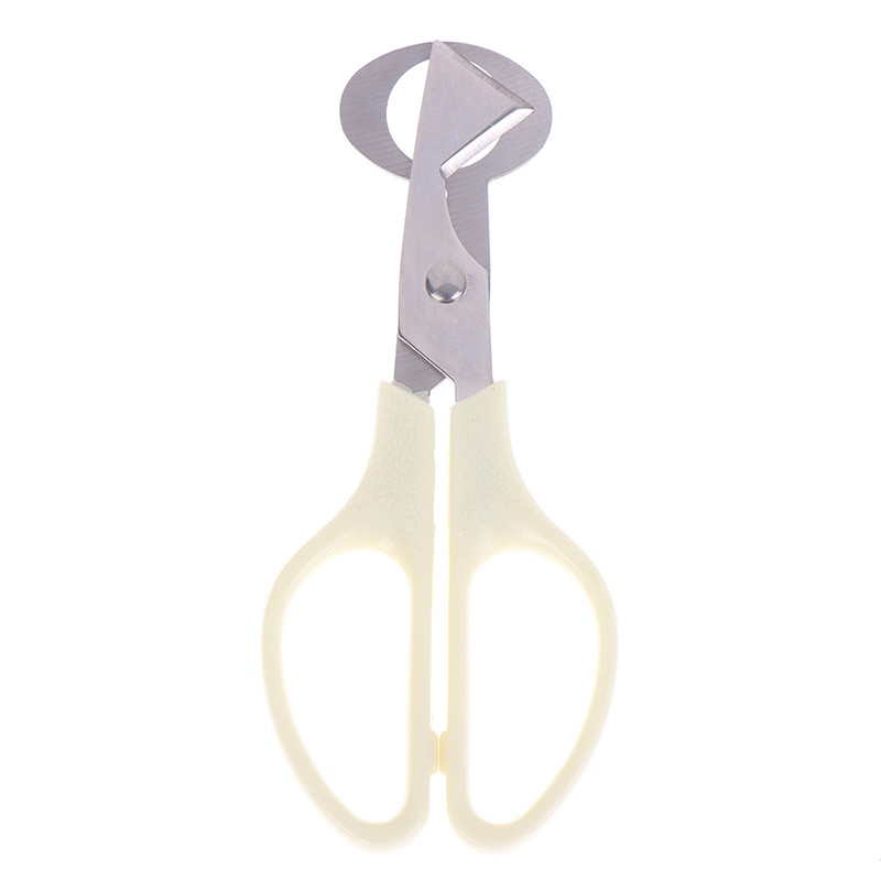 BBS Bless Quail Bird Egg Scissors Stainless Steel Eggshell Cutters ...