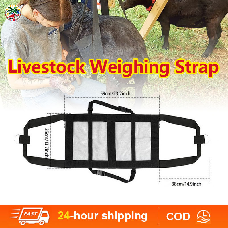 300lbs Foldable Hanging Weight Scale Belt with Adjustable Straps for ...