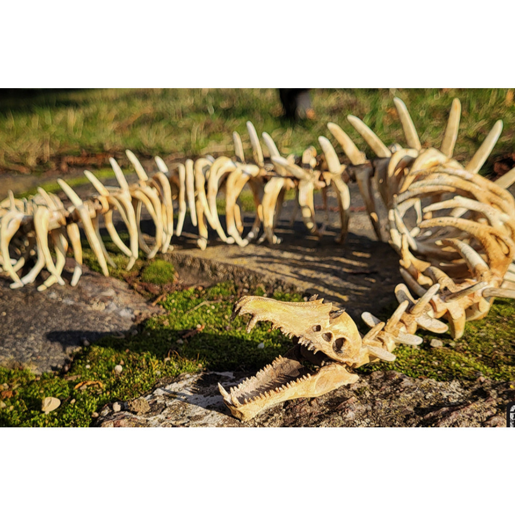 Handmade 3D Printed Articulated Monster Toy Skeleton Garganguan ...