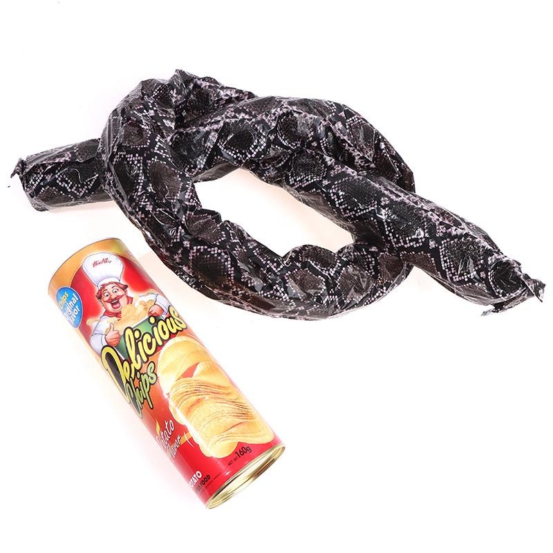 Tricky Toys Potato Chips Snake Toy Potato Snake Chip Can Tricky ...