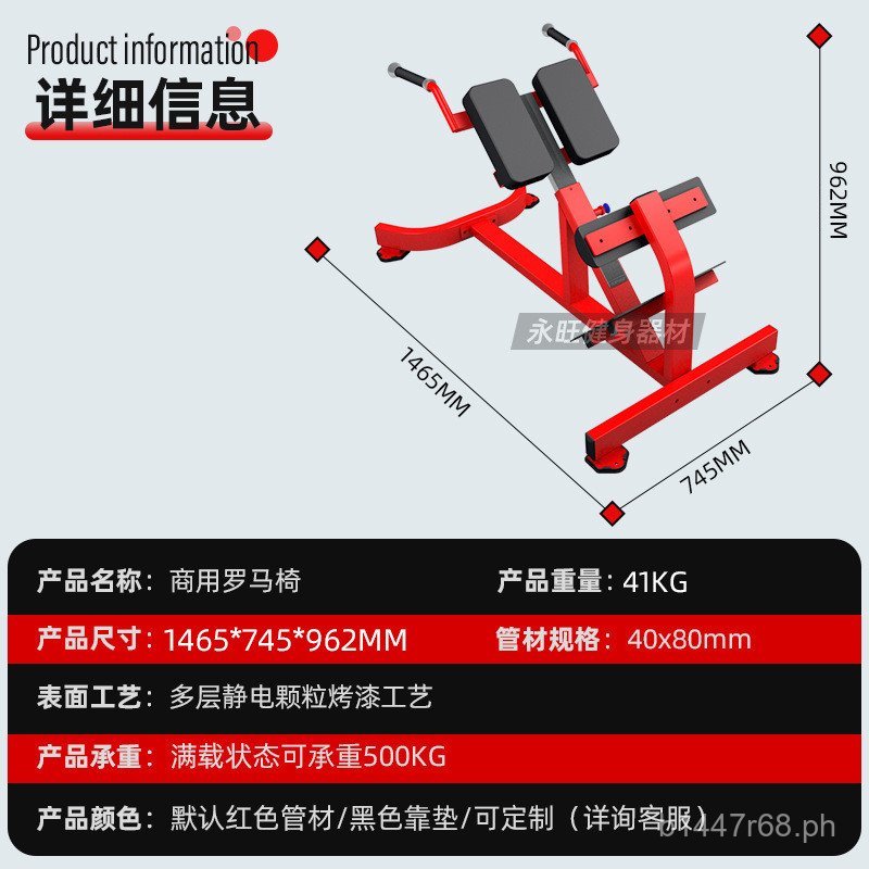 Gym Roman Bench Adjustable Back Training Chair for Indoor Use, Roman ...