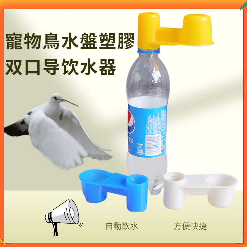 Bird Parrot Starling Pigeon Drinking Water Guide Drinking Fountain ...