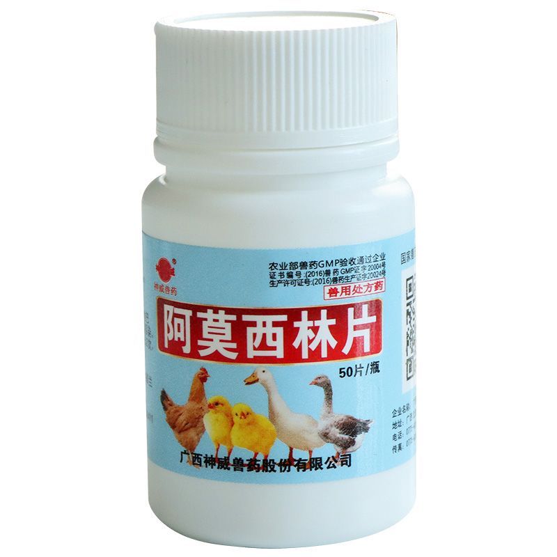 Amosilin Tablets Cat Nasal Bronchitis Cough Cold Anti-Inflammatory Pet ...