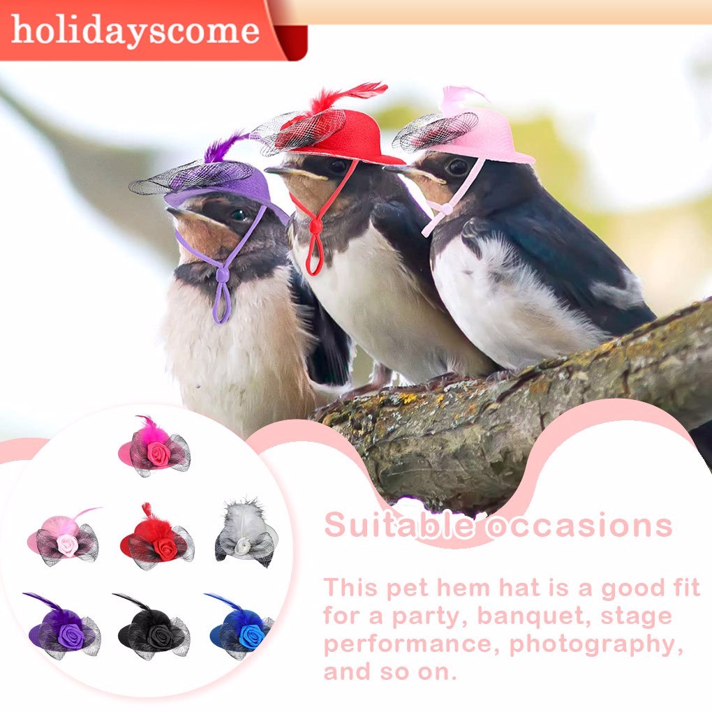 2/3/5 Funny Chicken Hats Mini Hem Feather Cap Banquet Decoration Stage ...