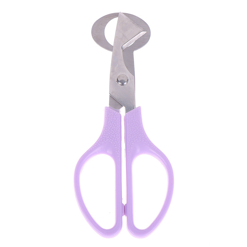 BBS Bless Quail Bird Egg Scissors Stainless Steel Eggshell Cutters ...