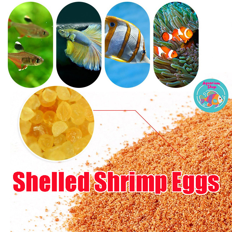 Baby Brine Shrimp Synthetic Decapsulated (BBS) for small fish 10/20/50g ...