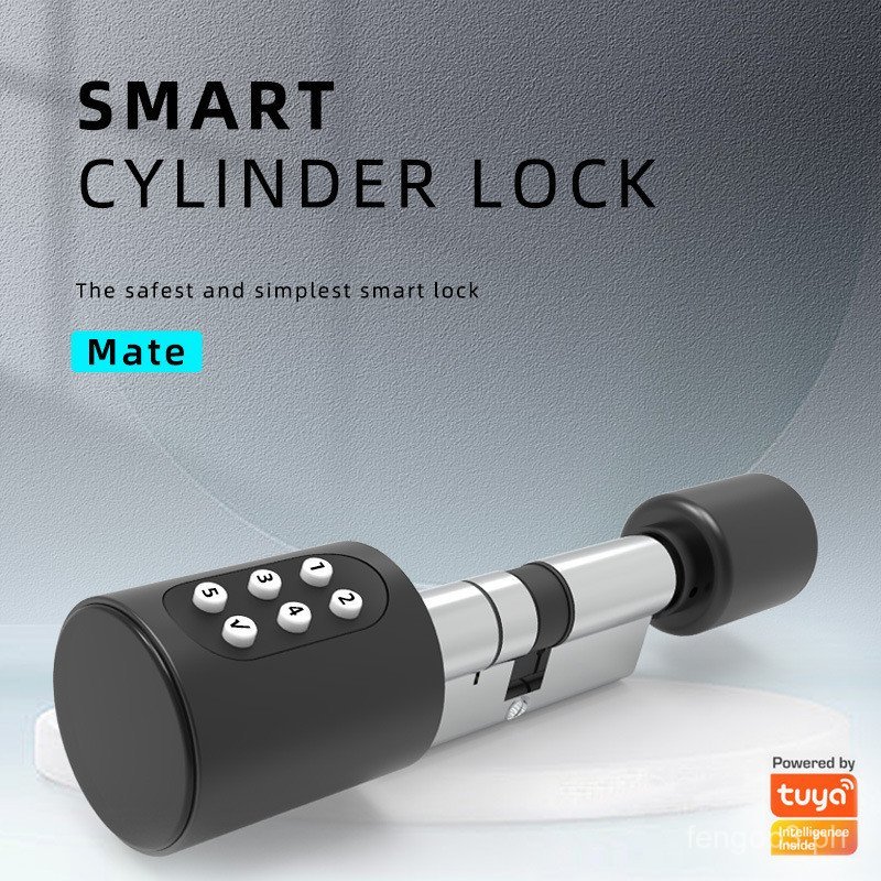 Smart Lock Cylinder European Standard Password Card Mechanical Key Tuya ...