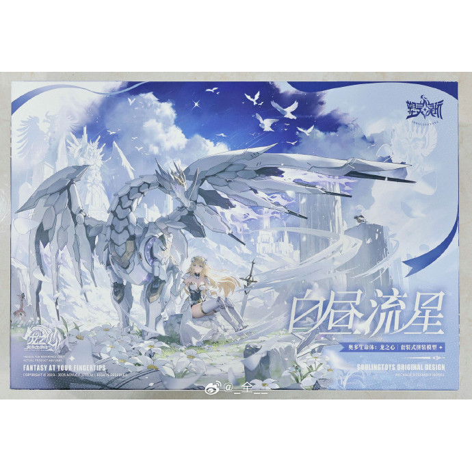 Souling Toys 1/12 Daytime Meteor Model Kit | Shopee Philippines