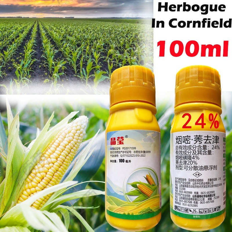 Corn herbicide nitrate · atrazine Cornfield post-emergence wee Grass ...