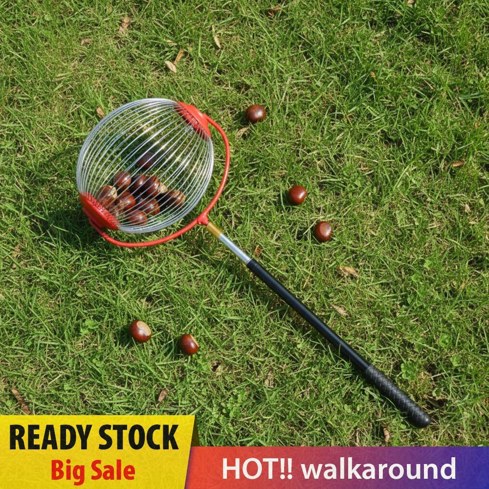 Rolling Nut Collector Picker Adjustable Acorn Picker Upper Roller ...