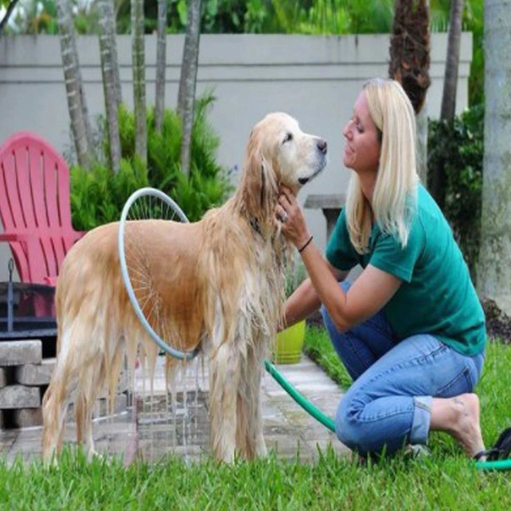 360° Pet Shower Nozzle | Dog Bathing Tool | Full-Coverage Pet Cleaning ...