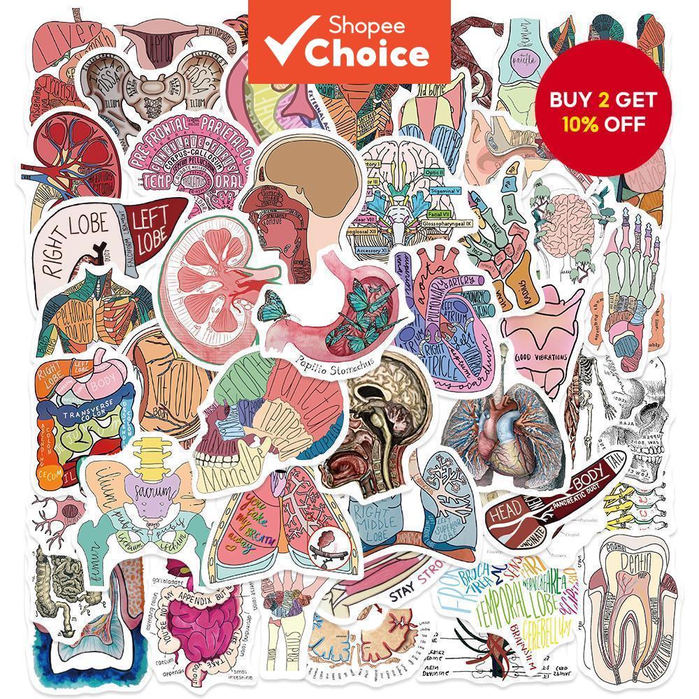 50pcs Cute Human Organ Anatomy Stickers Waterproof Medical Graffiti ...