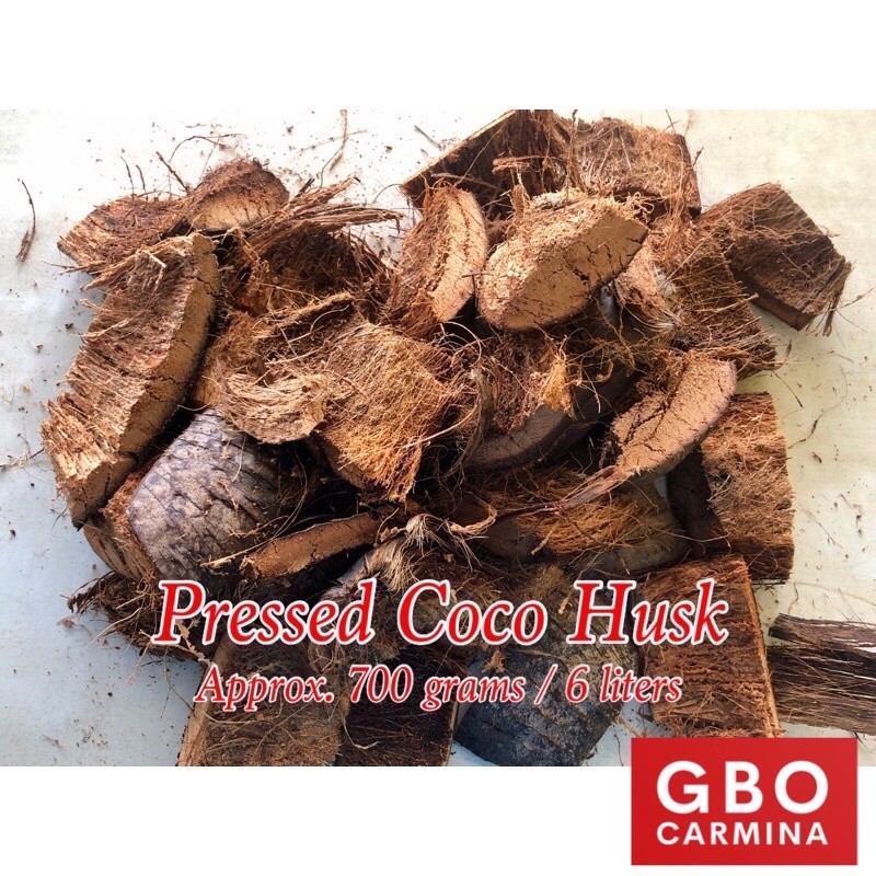 GBO CARMINA: Pressed Bunot / Coco Husk | Approx. 700g | BEST USED IN ...