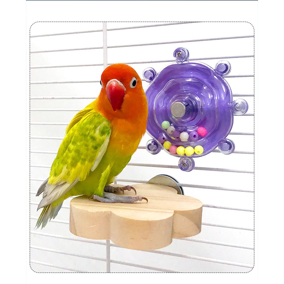 Parrot Chew Toys for Small Birds, Natural Wood Boredom Breaker Shredder ...