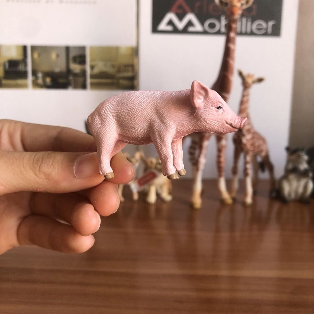 German Sile Little Pig Baby Farm Zoo Animals Grizzly Bear Tiger Feline ...