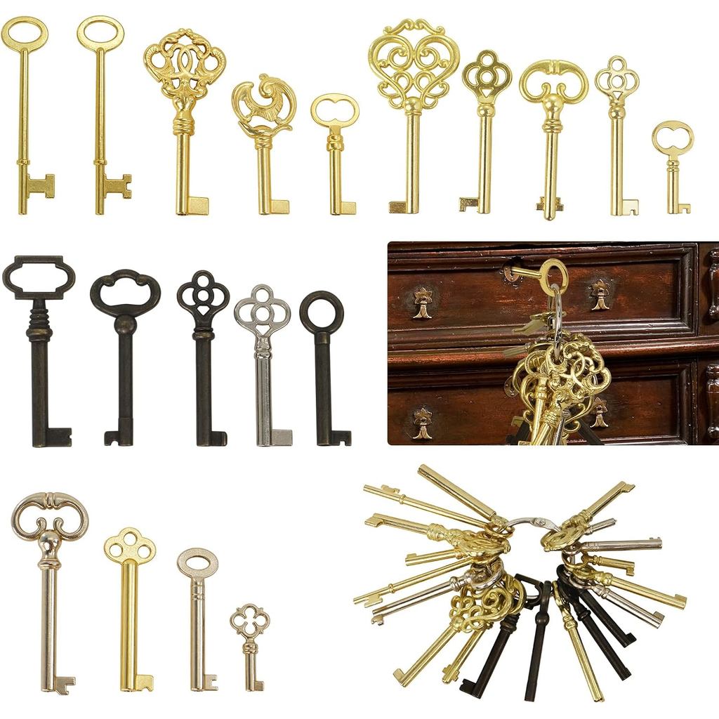 Universal Skeleton Keys Replacement, 19Pcs Most Popular Hollow Skeleton ...
