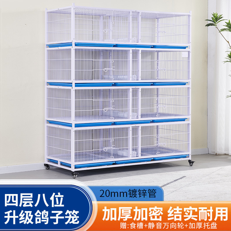 Pigeon Pairing Cage Breeding Encrypted Pigeon Cage Breeding Budgerigar ...