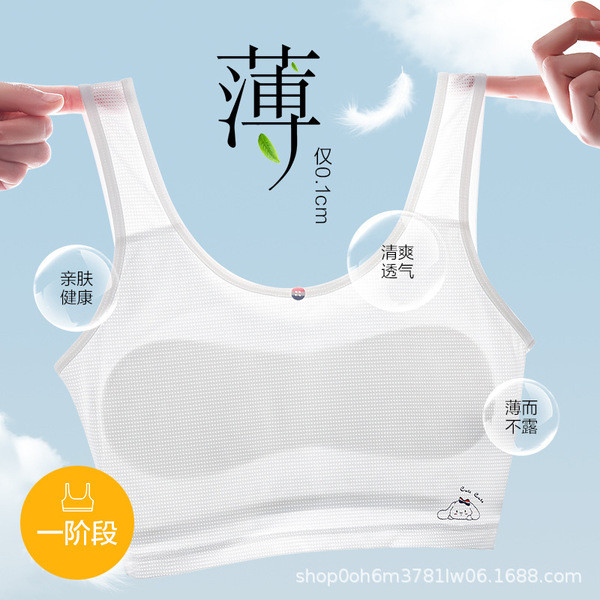 bear brand jr 1 3 year old baby bra 8 12 years old Girls Underwear ...