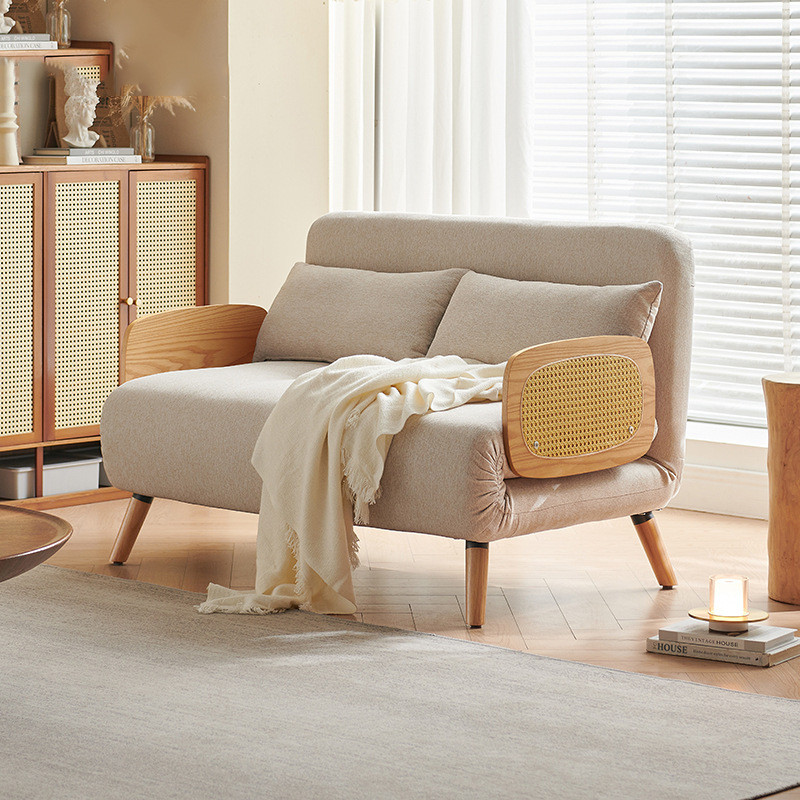 Tongyu Small Apartment Living Room Modern Simple Foldable Sleepable ...