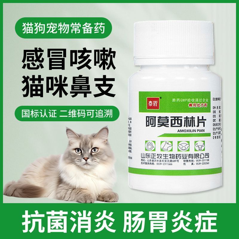 New Style Cats Dogs Amosilin Pets Cats Dogs Cold Cats Nasal Bronchitis ...