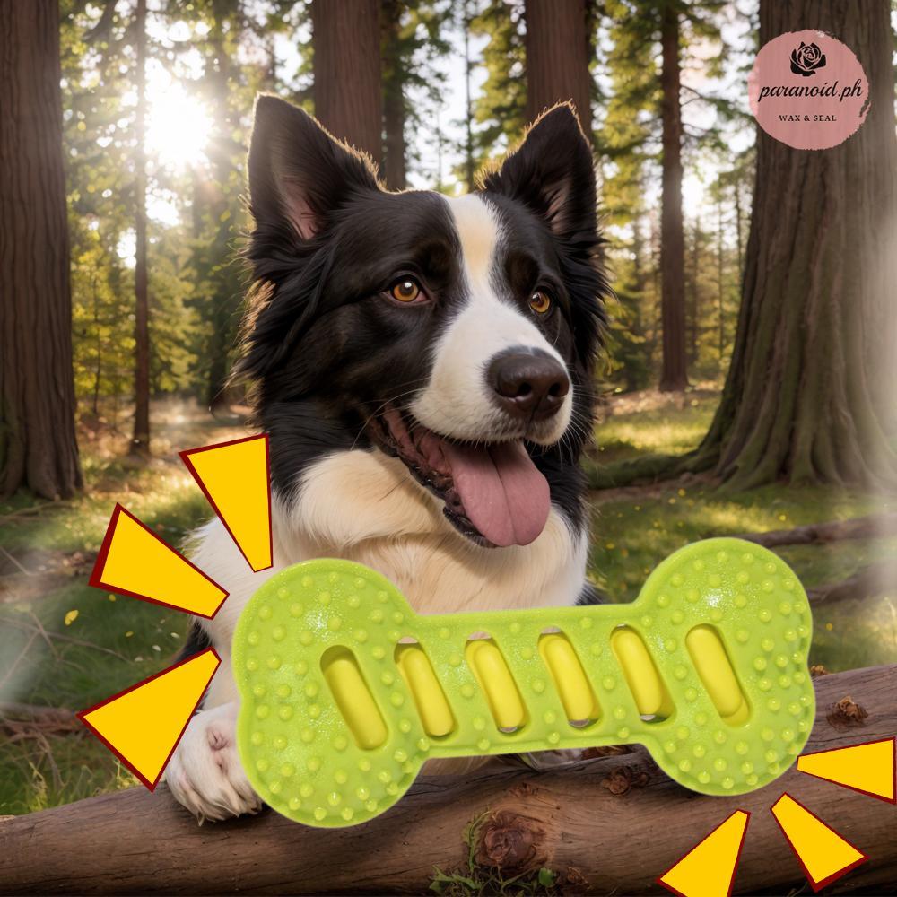 3Pcs Dog Chew Toy Squeaky Bones Teeth Cleaning Molar Stick Textured ...