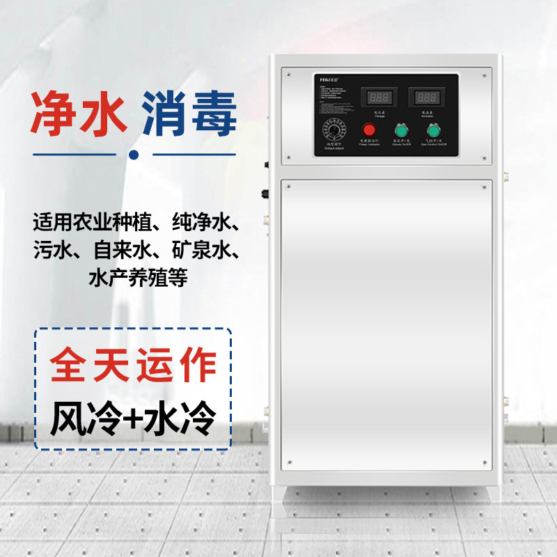 Feili Water Treatment Special Ozone Generator Clean Workshop Water ...