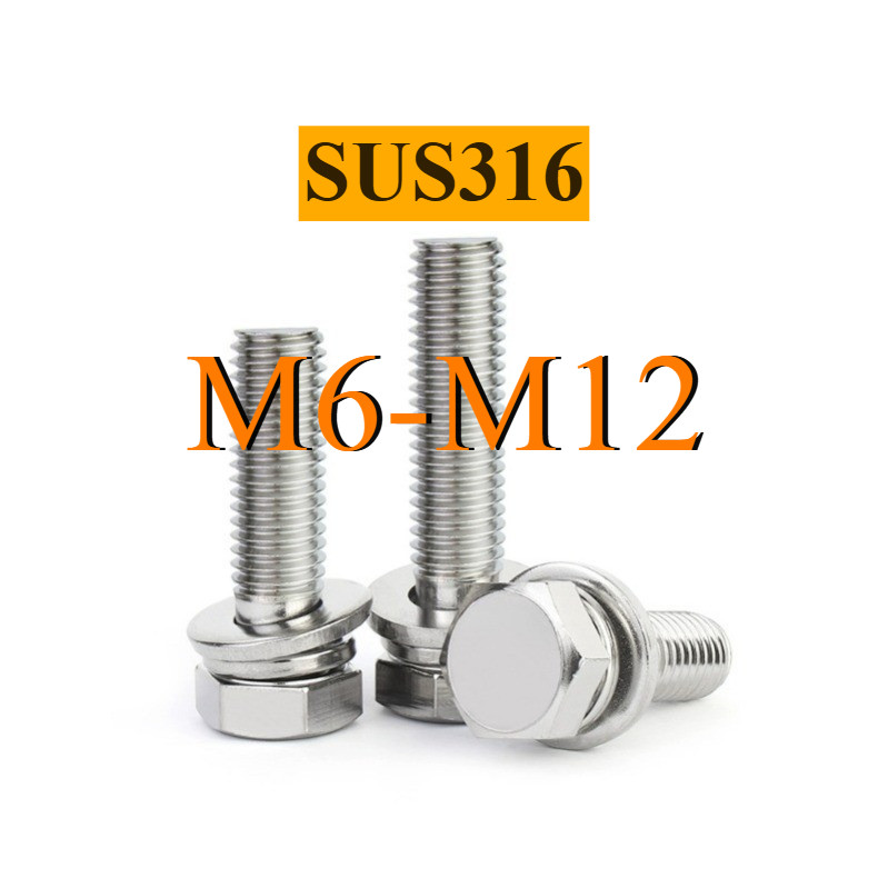 316 stainless steel hexagonal capscrew bolt with washer /CAPSCREW BOLT ...
