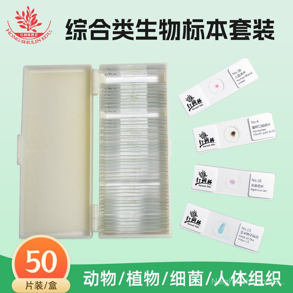 Comprehensive Slide Specimen50High Transmittance Biological Slices for ...