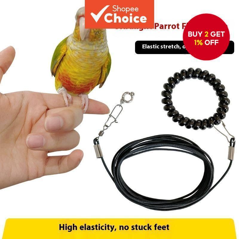 Pet Bird Outdoor Training Harness Rope, Parrot Foot Leash Anti-Fly Lead ...
