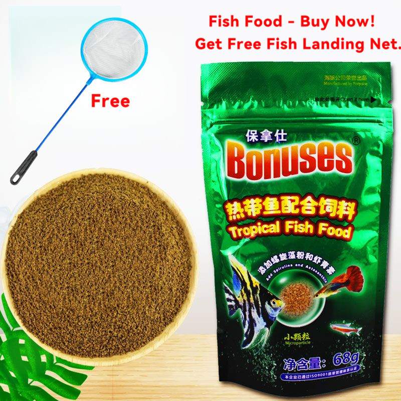Micro Pellets Small Tropical Fish Food - High Protein for Guppy Tetra ...