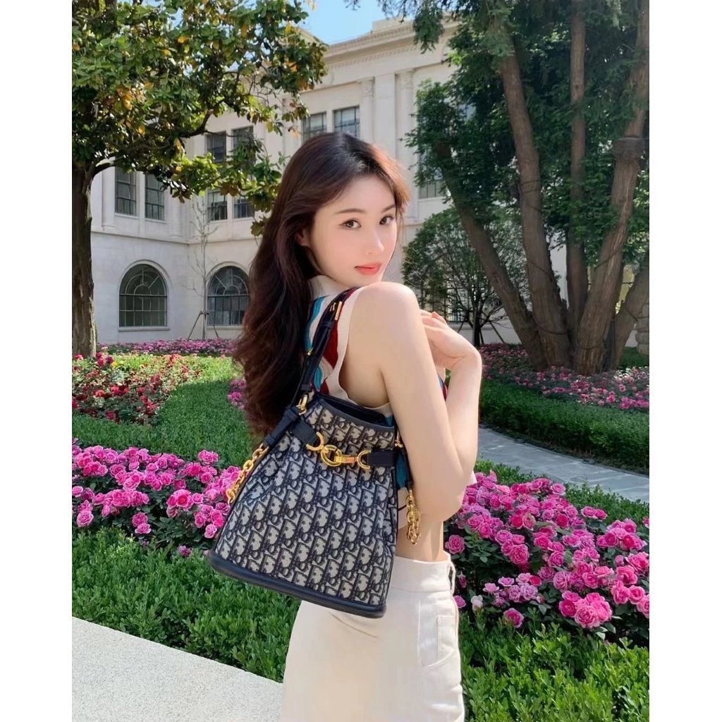 Dior Cest Series Bucket Bag Presbyopia Full Print Print Print Letter ...