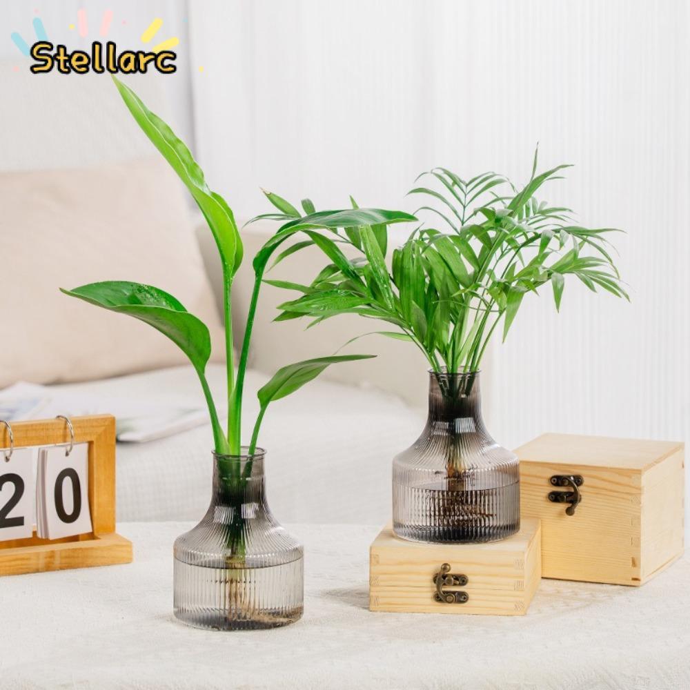 STELLARC Flowerpot, Home Decoration Transparent Hydroponic Plants Pot ...
