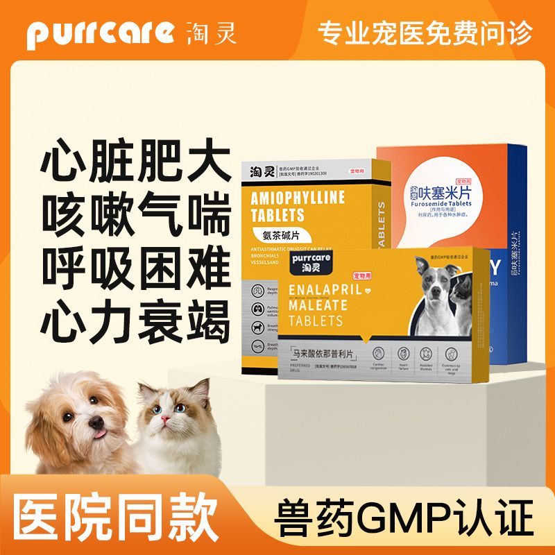 Dog Heart Disease Heart Muscle Fat Big Cough Medicine Pimo Cat Benzene ...
