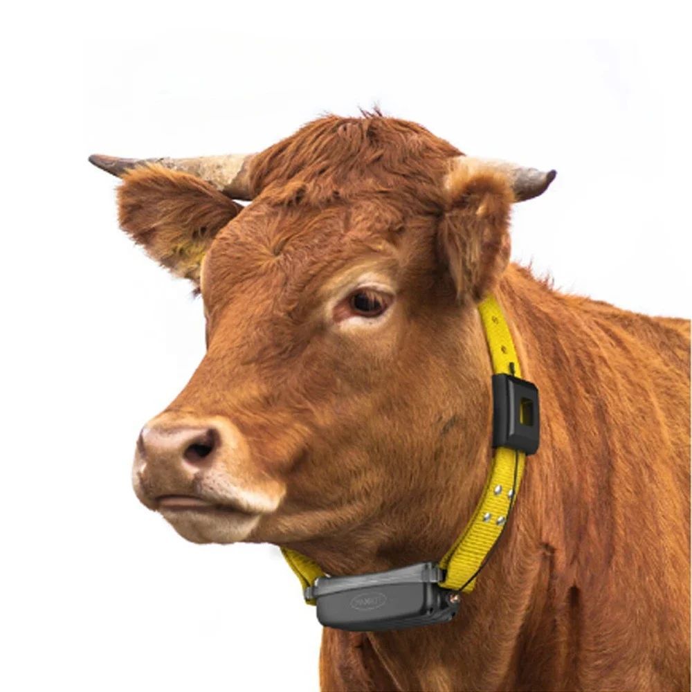 Lora Cattle Tracker Livestock Tracking Device Lora For Livestock Sheep ...