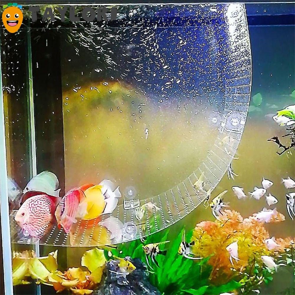 TAYLOR1 Fish Tank Isolation Plate, Acrylic Transparent Fish Breeding ...