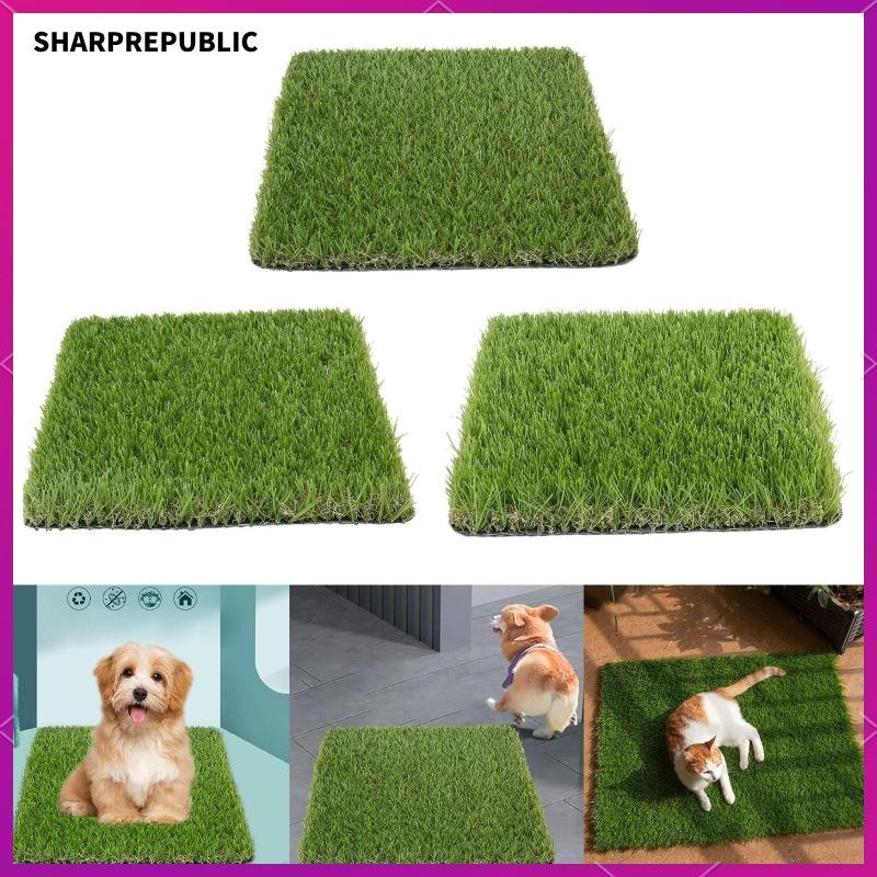 [Sharprepublic] Dog Pee Pad Artificial Grass Mat for Indoor And Outdoor ...