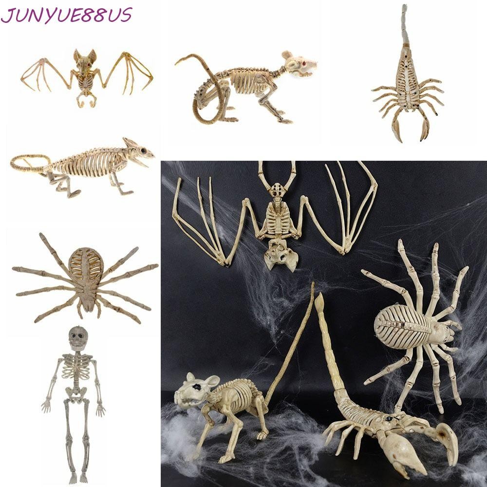 JUNYUE88US Halloween Bats Skeleton, Human Bones Bat Mouse Lizard ...