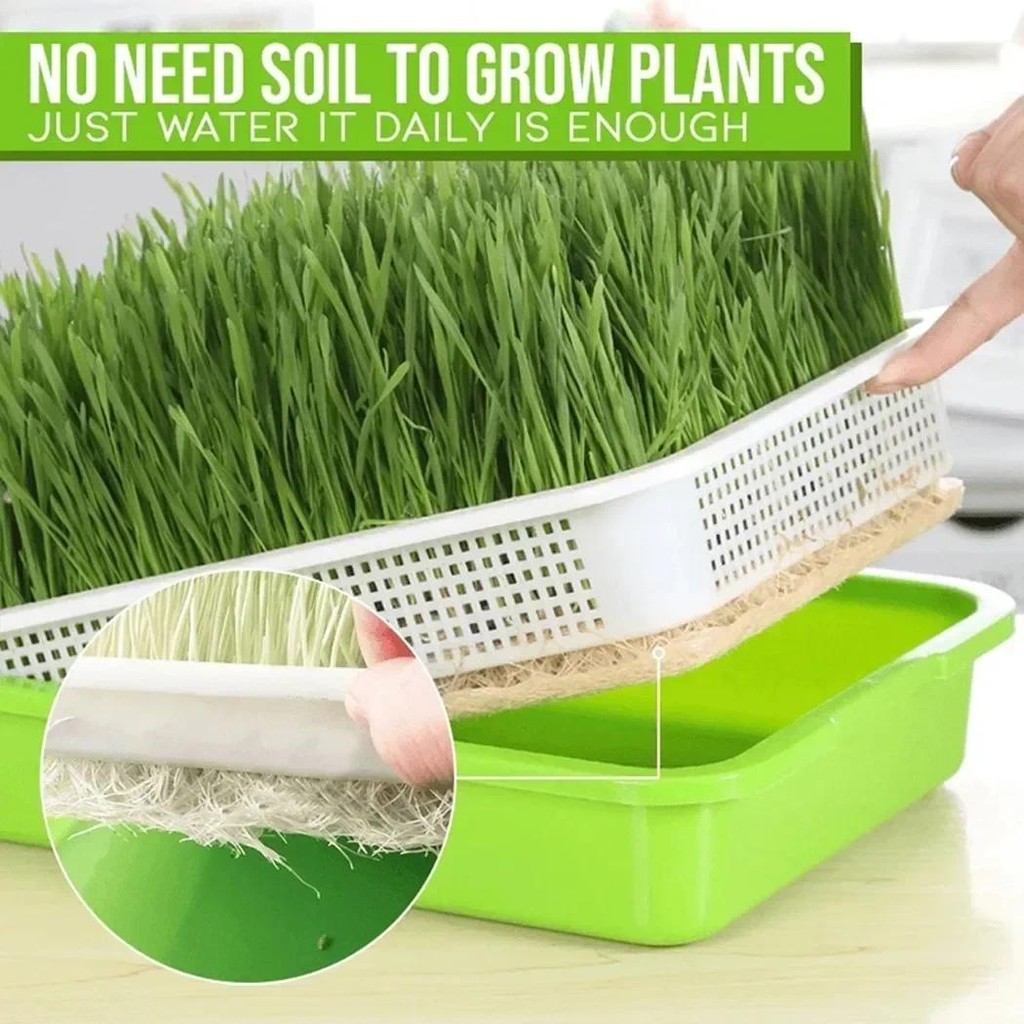 Microgreens Sprouting Tray Hydroponic Sprouting Tray Set For Sprout ...