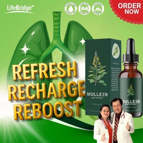 Mullein Leaf Extract Drops Mullein Drops Support Nose Cleanse ...