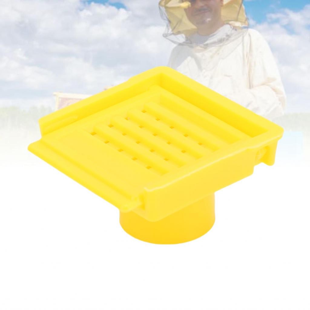 dsubuy-ph 10PCS Beehive Entrance Gates Plastic Bee Hive Nuc Box ...