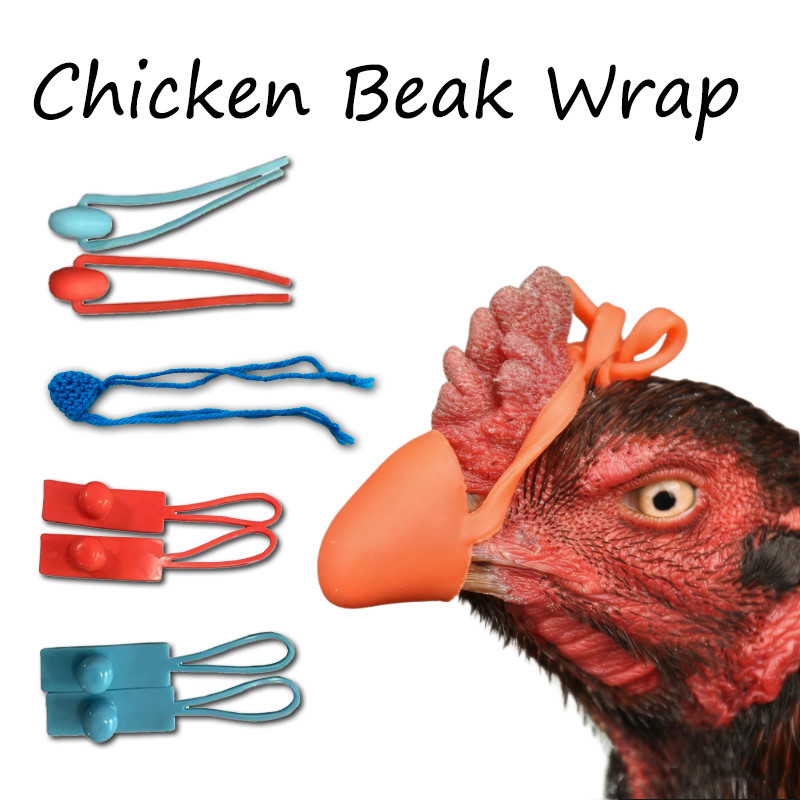 Chicken Beak Wrap Gamefowl mouth gloves for USA cockfighting Chicken ...