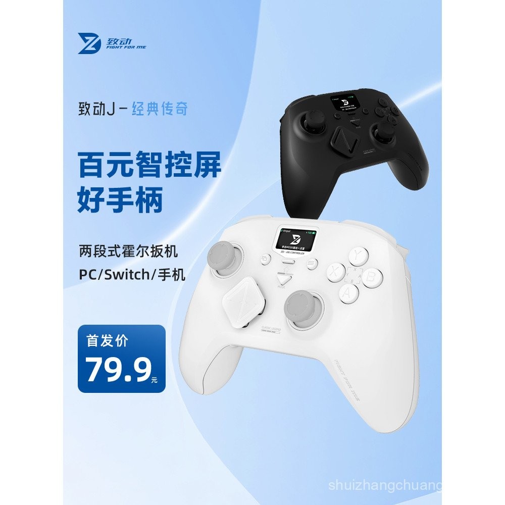 Activate J Classic Legend Game Controller Zelda Two-Person Play Switch/switch2/PC/ns Television ...