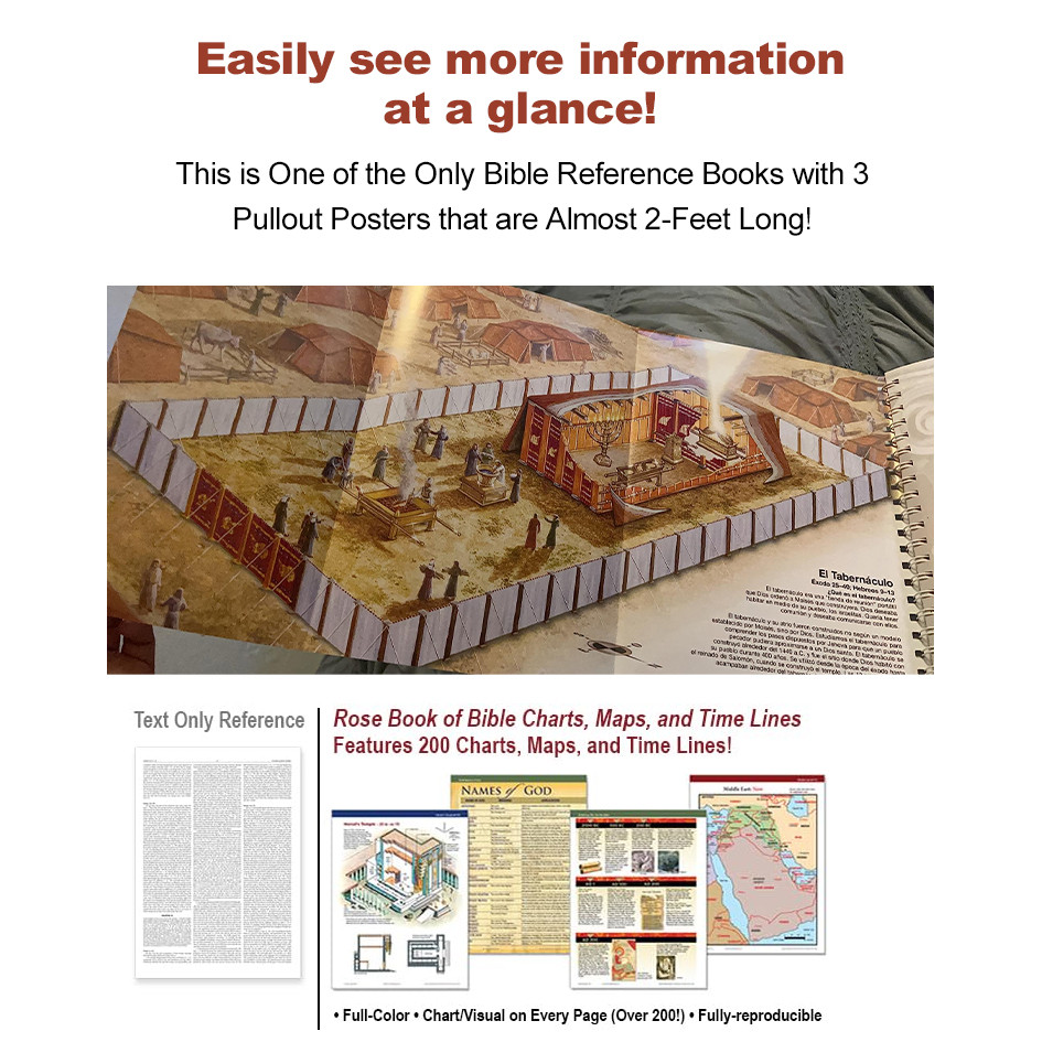 【BUY1 FREE1】[100% Original Location Guide] Bible Charts Maps Timeline ...