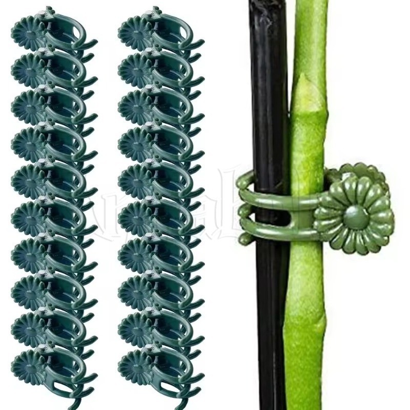 50pcs Plant Fixed Clips Plant Support Vine Plastic Clips Flower Grow ...